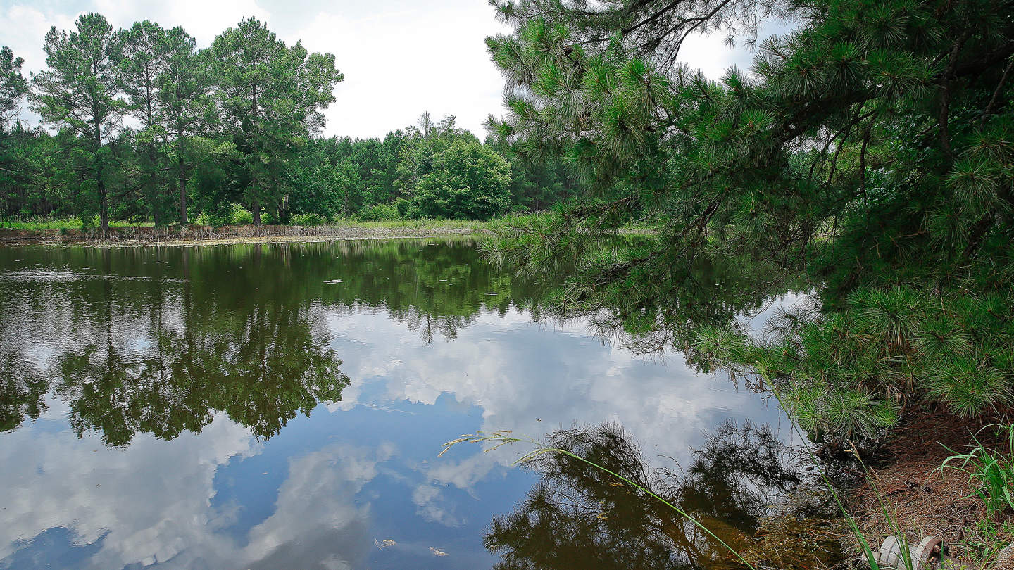 Ensuring a Sustainable Source of Clean Water for Future Generations ...